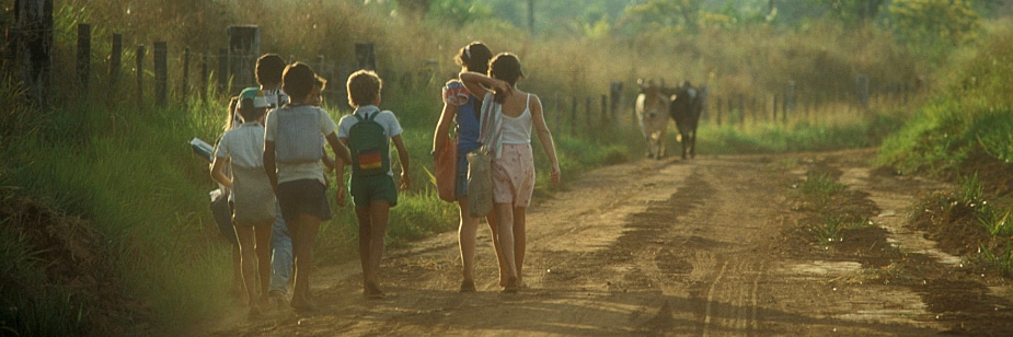 Êxodo rural: saiba o que é e como estudar sobre o tema!