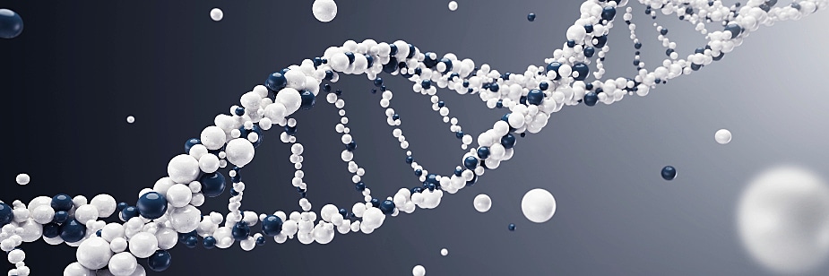 O que é genoma e como estudar sobre o tema para o Enem?